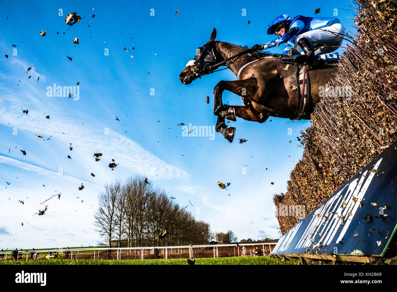 Kelso Racecourse High Resolution Stock Photography and Images - Alamy
