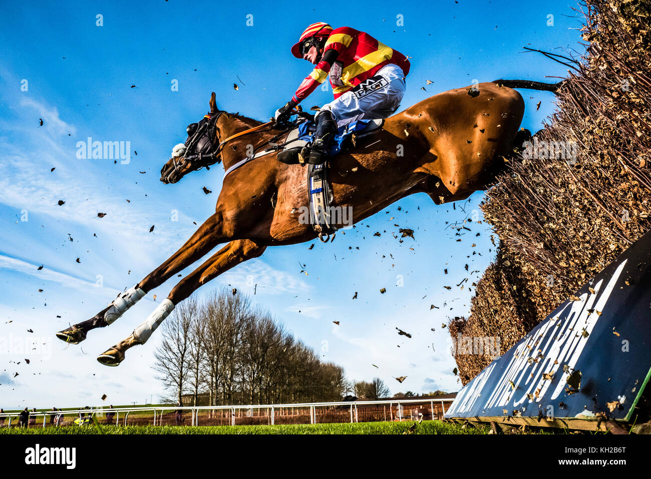 Kelso Races High Resolution Stock Photography and Images - Alamy