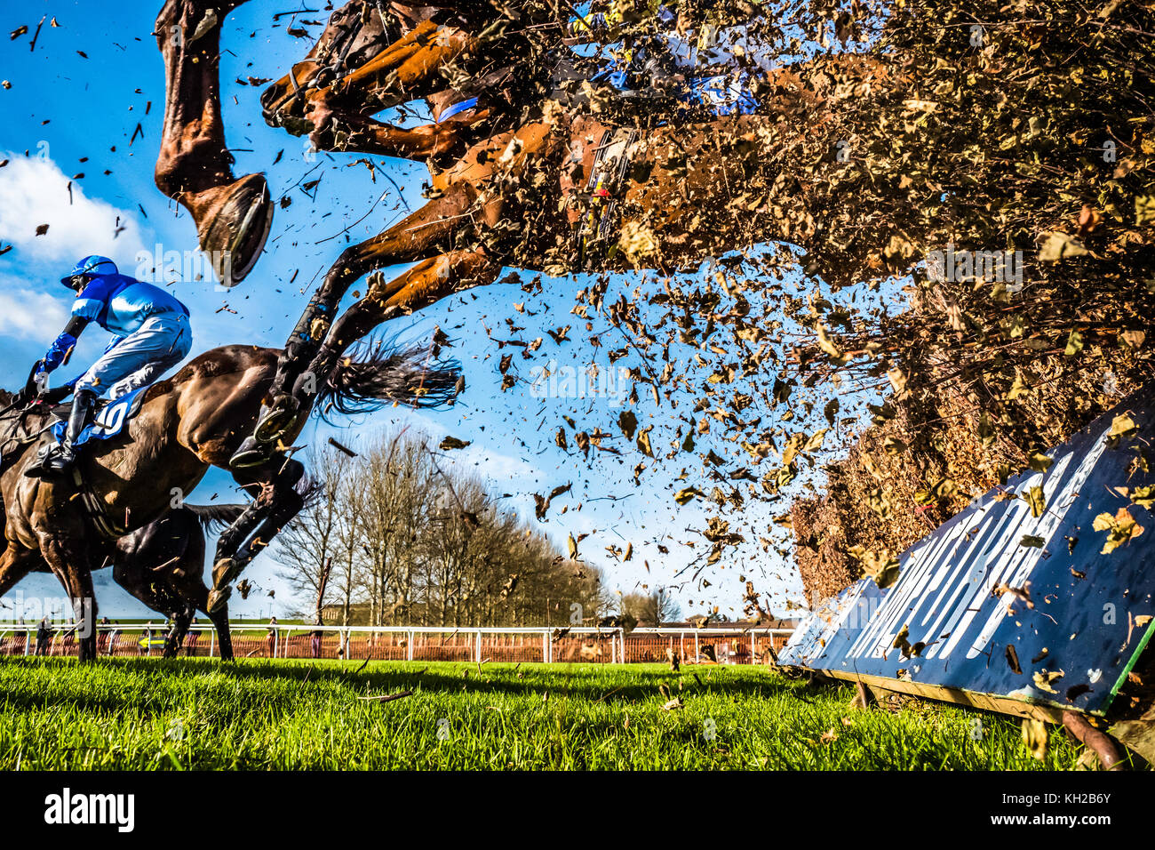 Kelso Races High Resolution Stock Photography and Images - Alamy