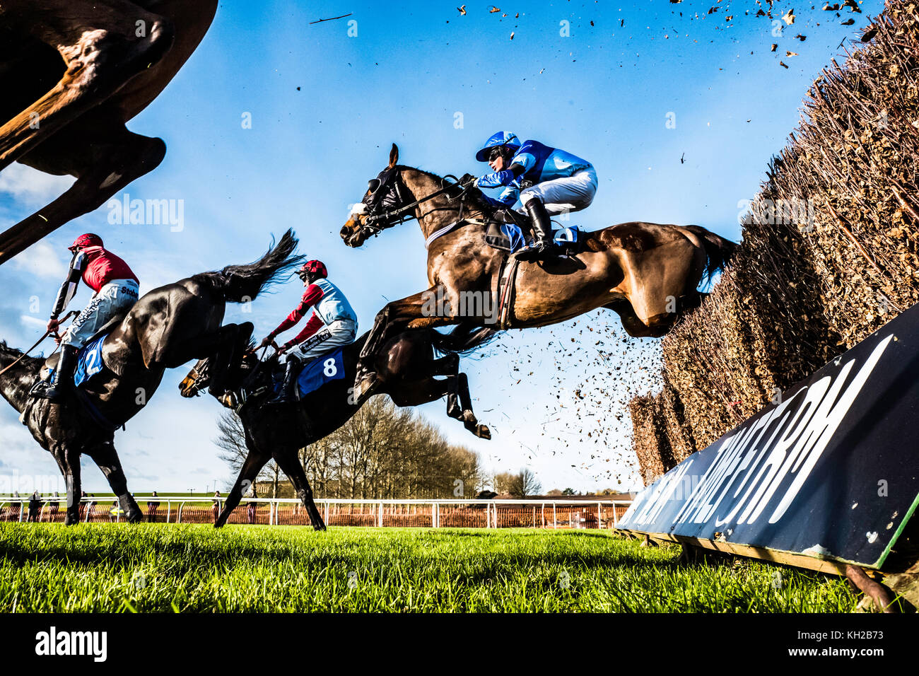 Kelso Racecourse High Resolution Stock Photography and Images - Alamy