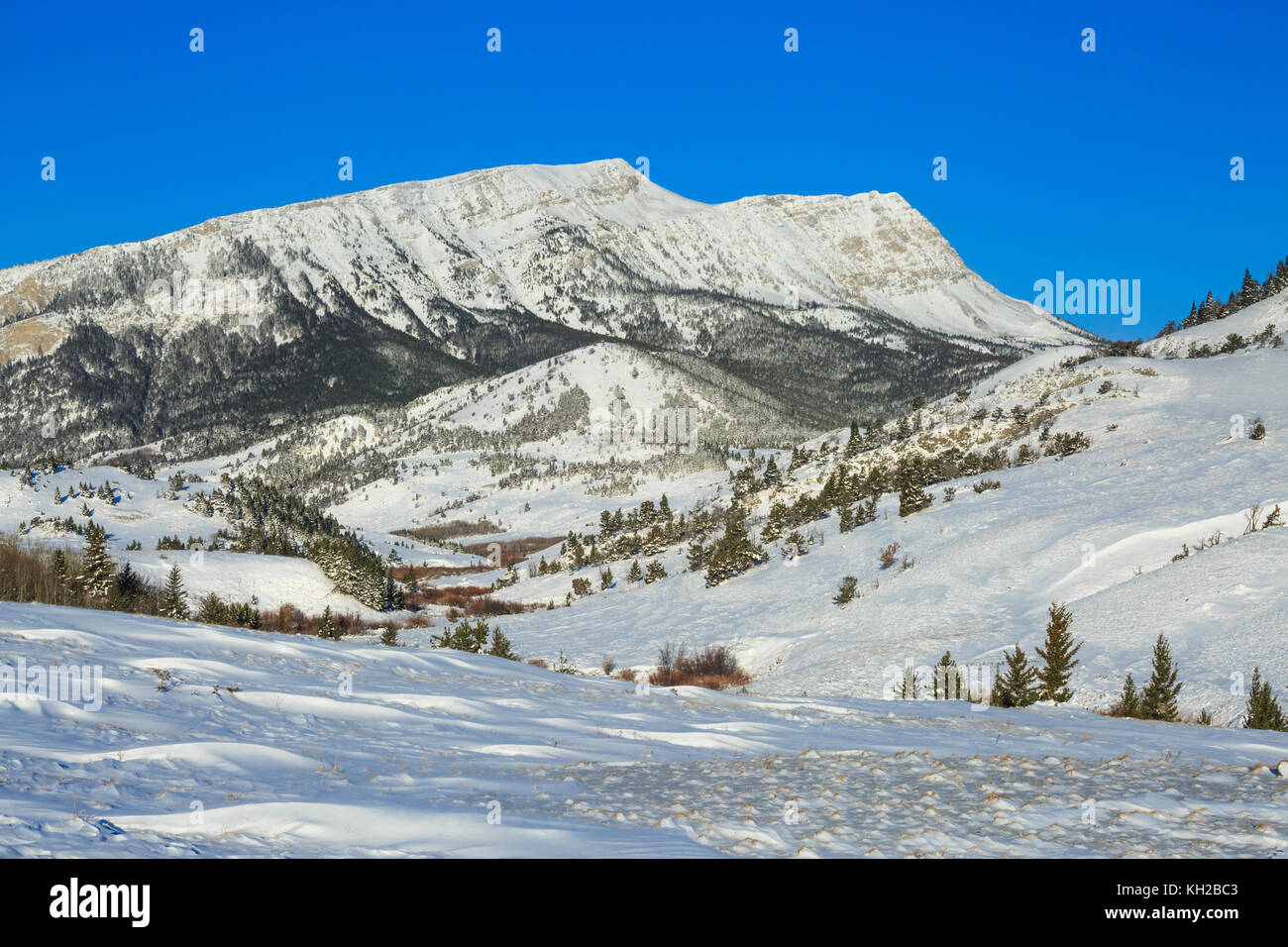 Mt d0685 hi-res stock photography and images - Alamy