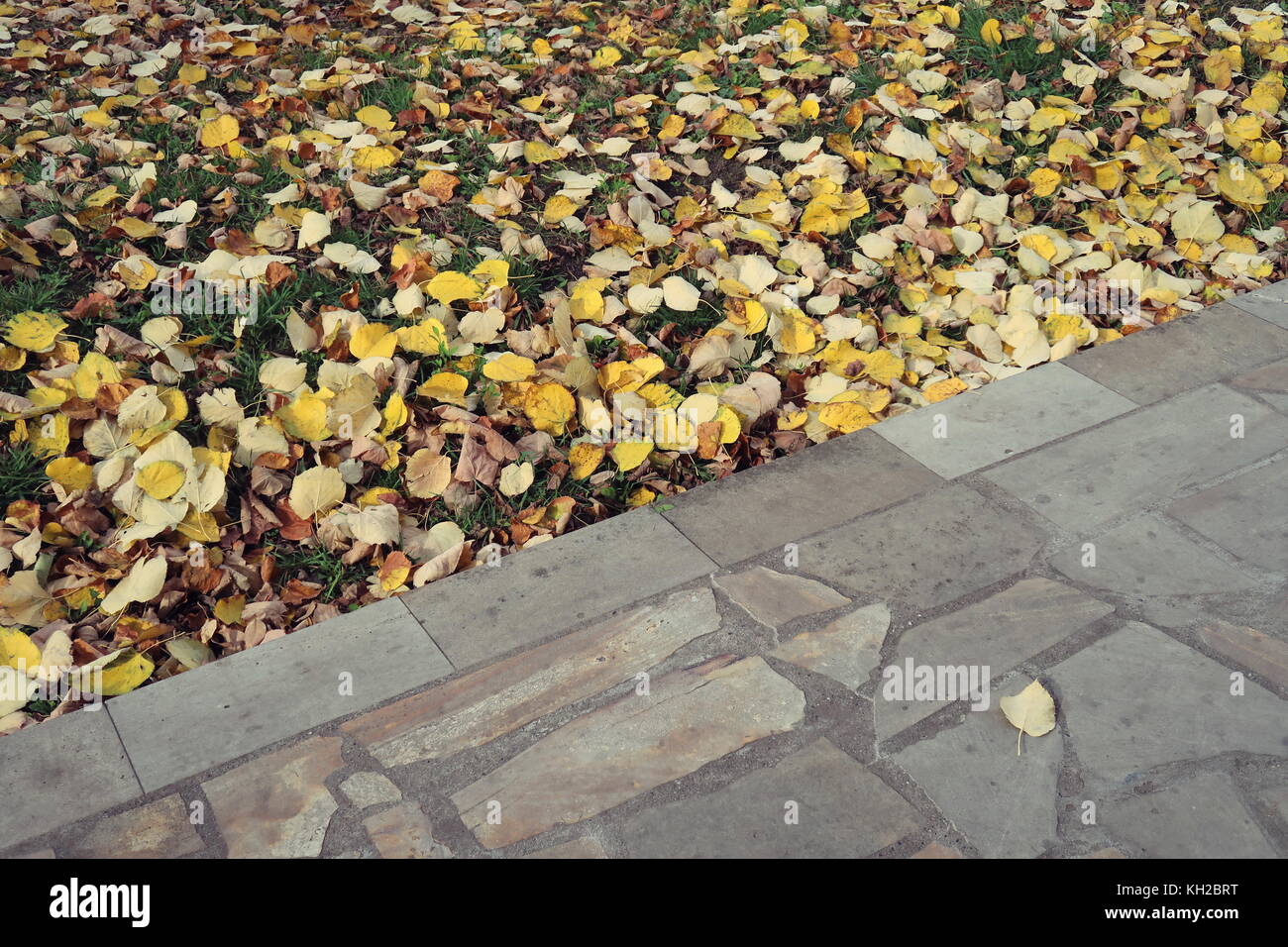 Leaves by the path Stock Photo - Alamy