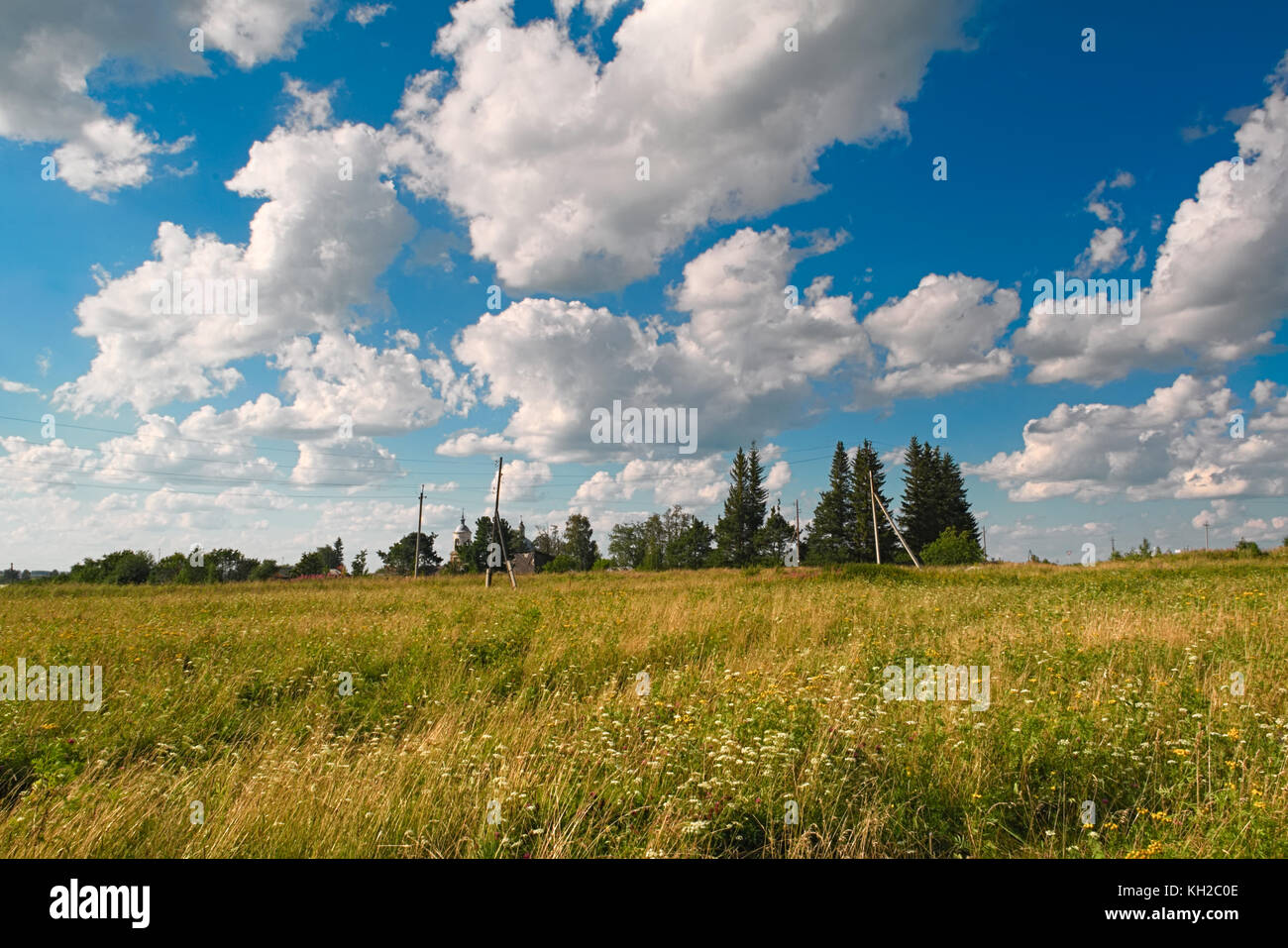 Stacks of straw - bales of hay, rolled into stacks left after ...