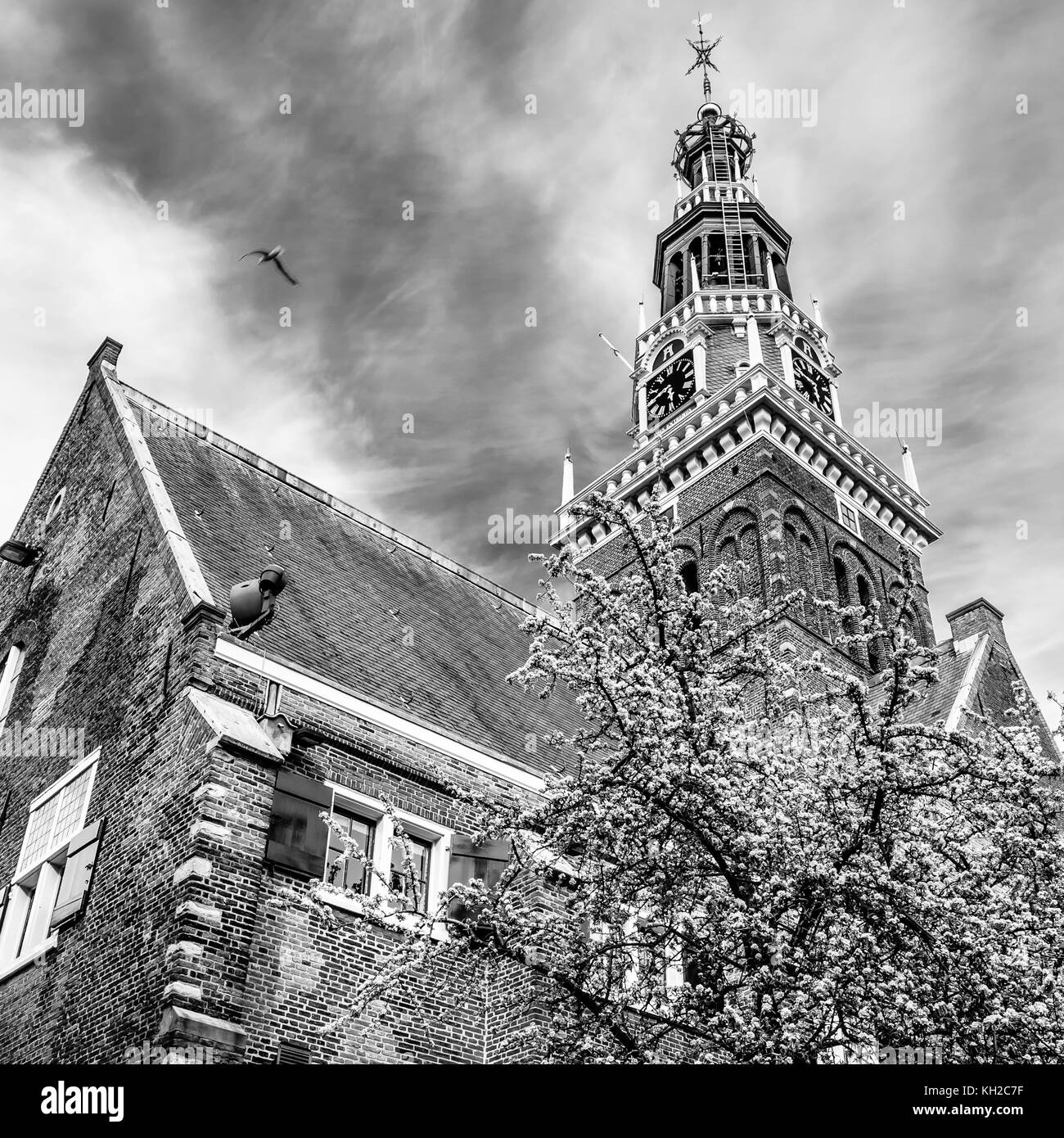 Traditional Dutch architecture in Alkmaar, the Netherlands Stock Photo ...