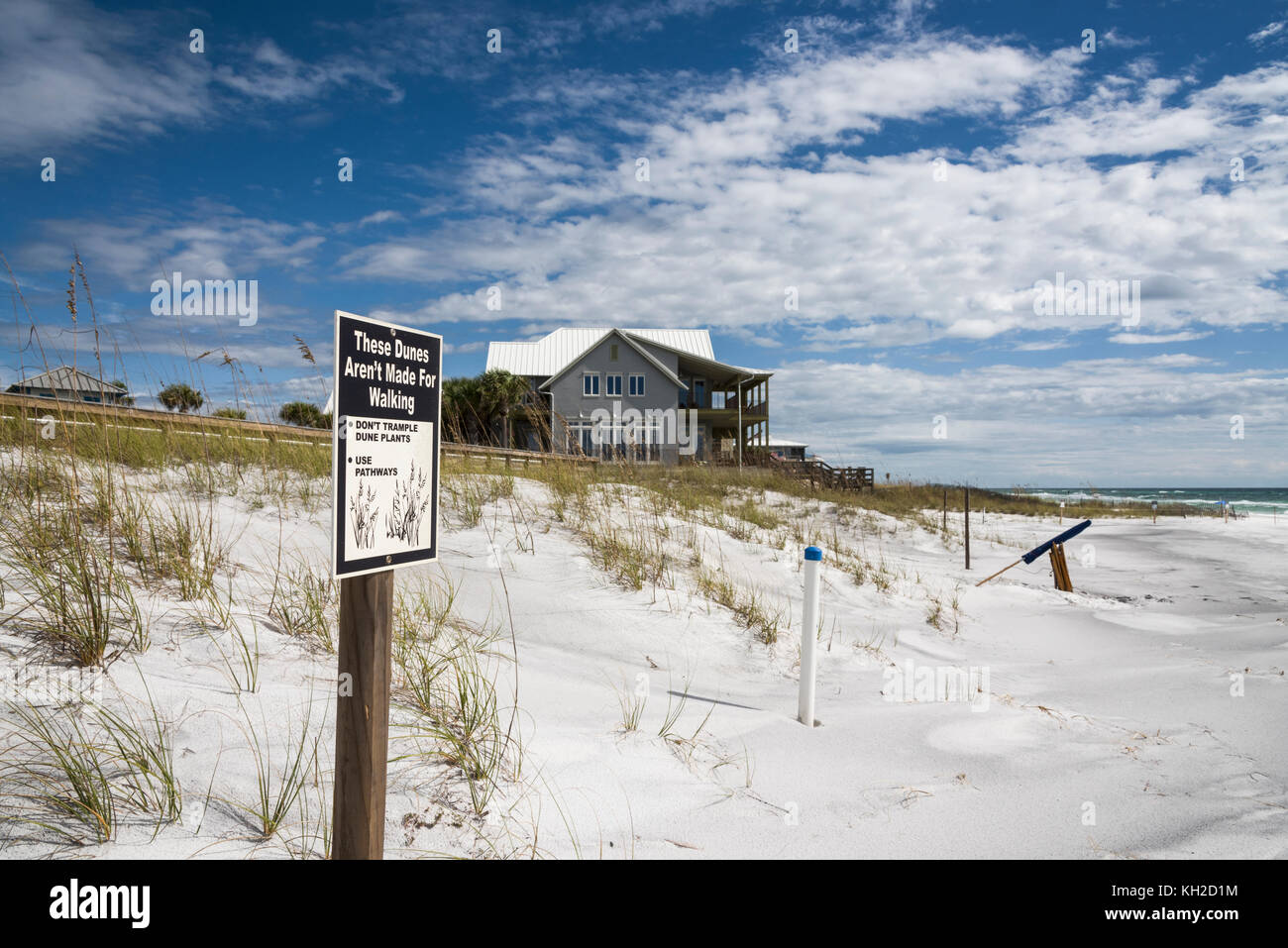 Protected Sand Dunes along the Gulf County Beaches, Florida USA Stock ...