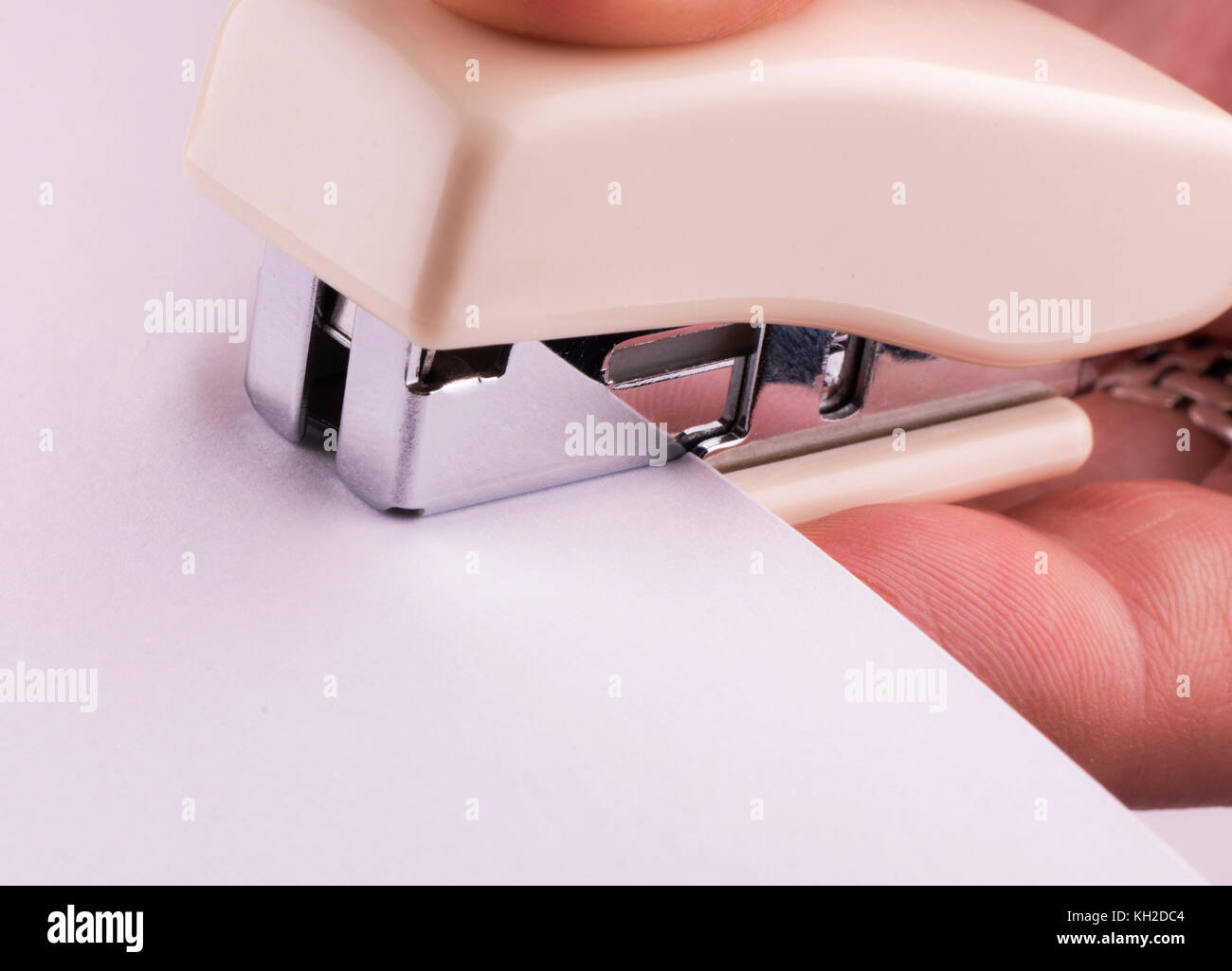 stapler for binding sheets of paper closeup Stock Photo - Alamy