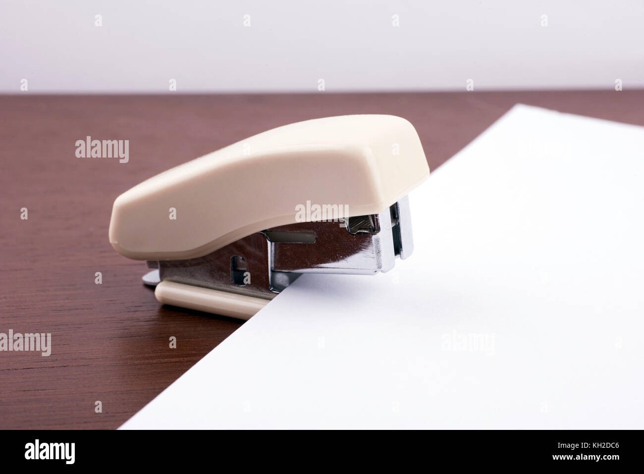 stapler for binding sheets of paper closeup Stock Photo - Alamy