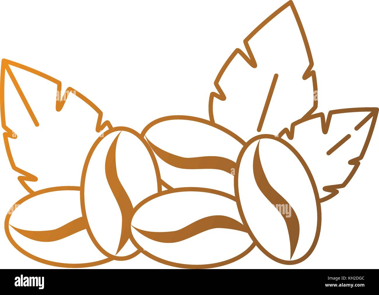 coffee seeds with leafs vector illustration design Stock Vector Image ...