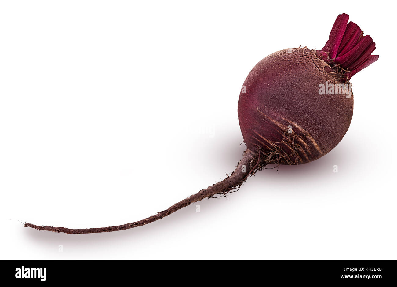Fresh red beet root isolated on white background. Clipping Path Stock ...