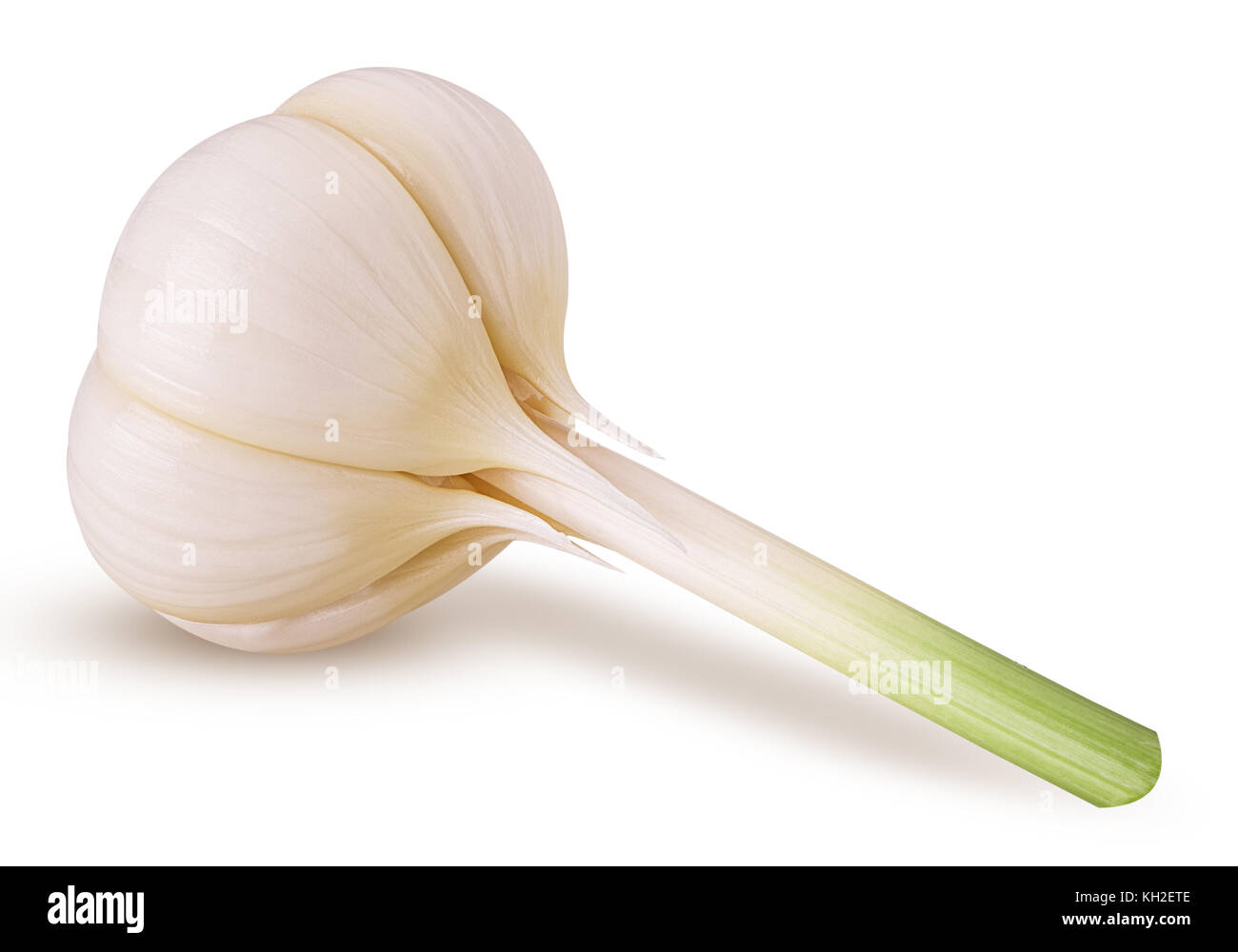 Fresh young garlic isolated on white background. Clipping Path Stock ...