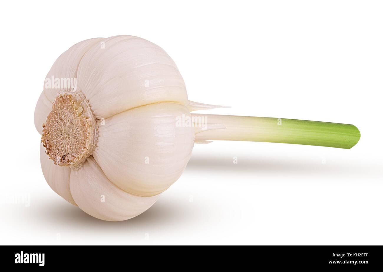 Fresh young garlic isolated on white background. Clipping Path Stock ...
