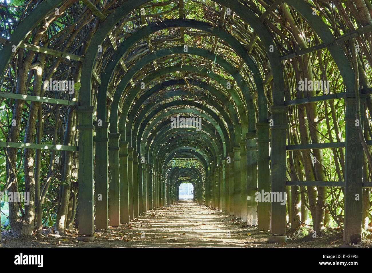 Pergola in park of Arkhangelskoye estate. The object of the cultural ...
