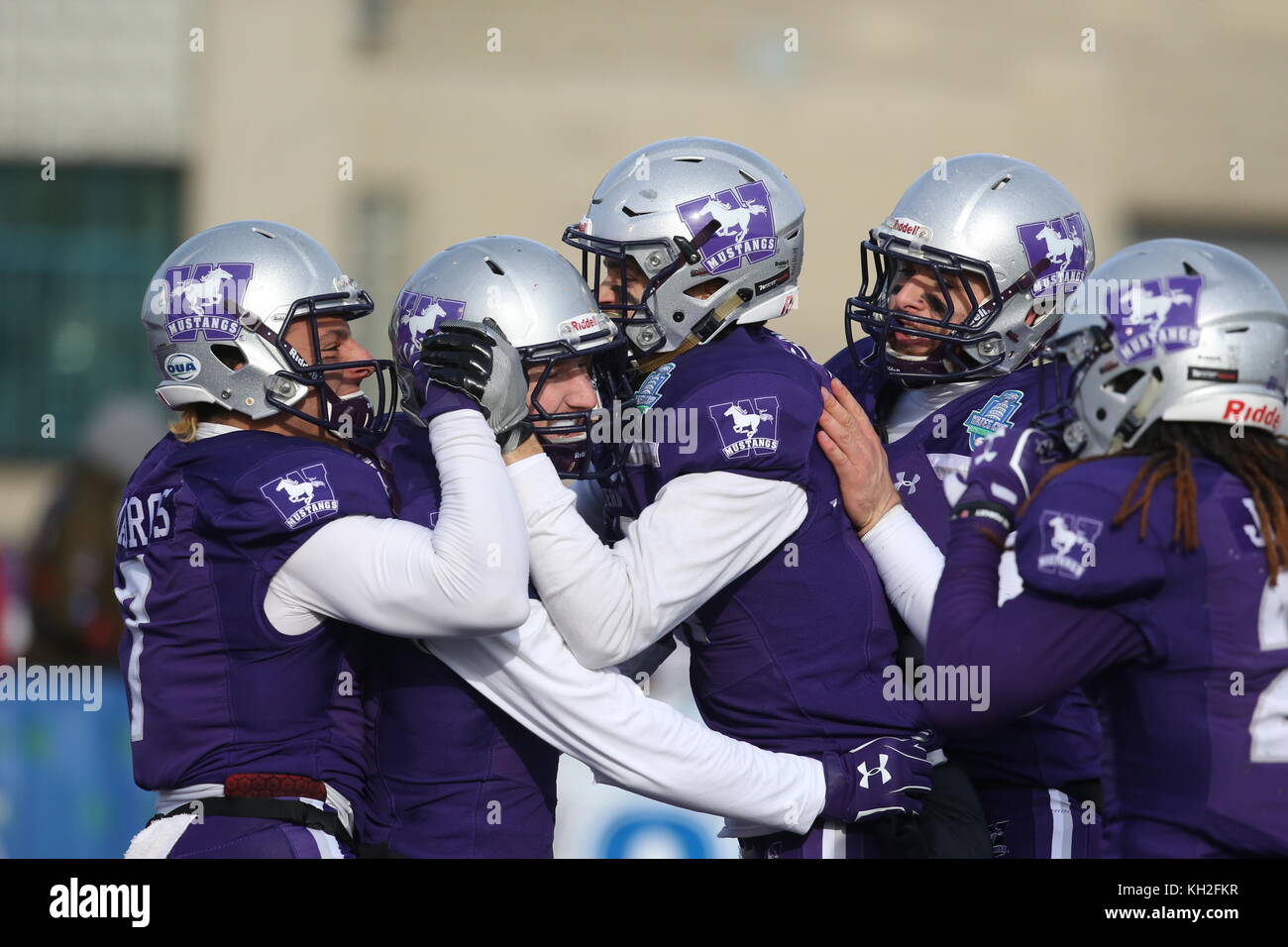 Western Mustangs # 19 Harry McMaster Stock Photo - Alamy