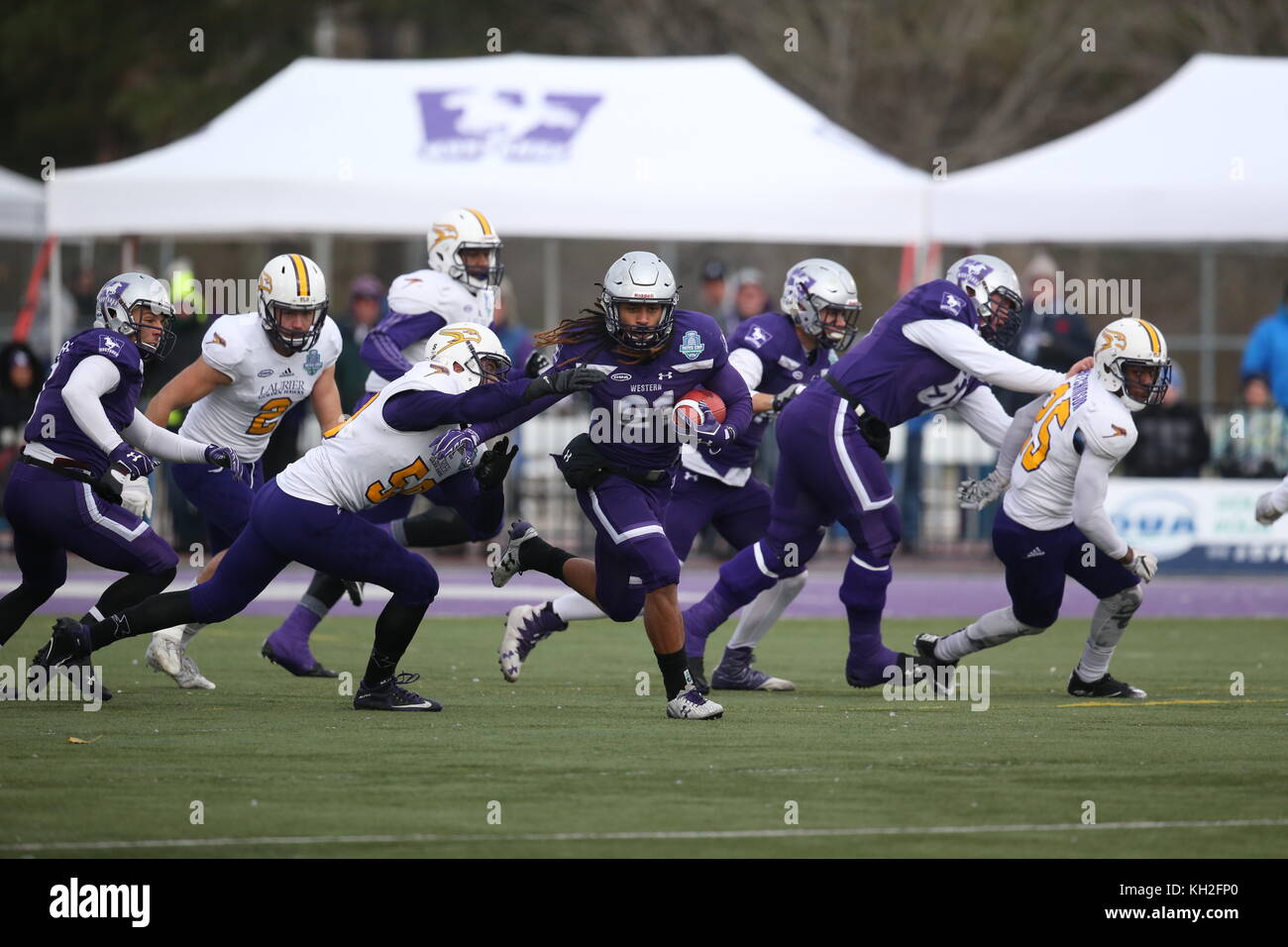 Western Mustangs # 21 Cedric Joseph Stock Photo - Alamy