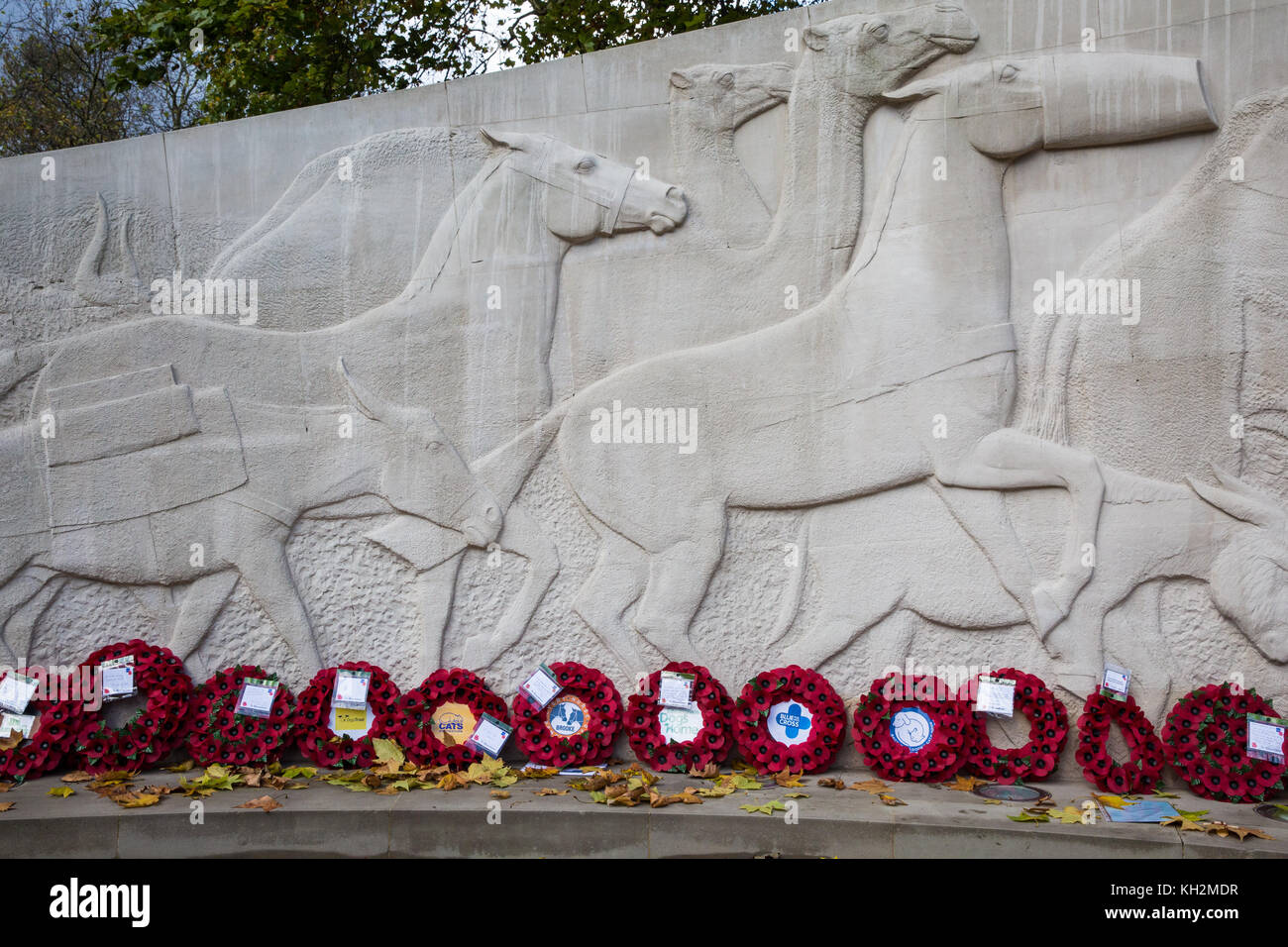 Donkey uk gate hi-res stock photography and images - Alamy