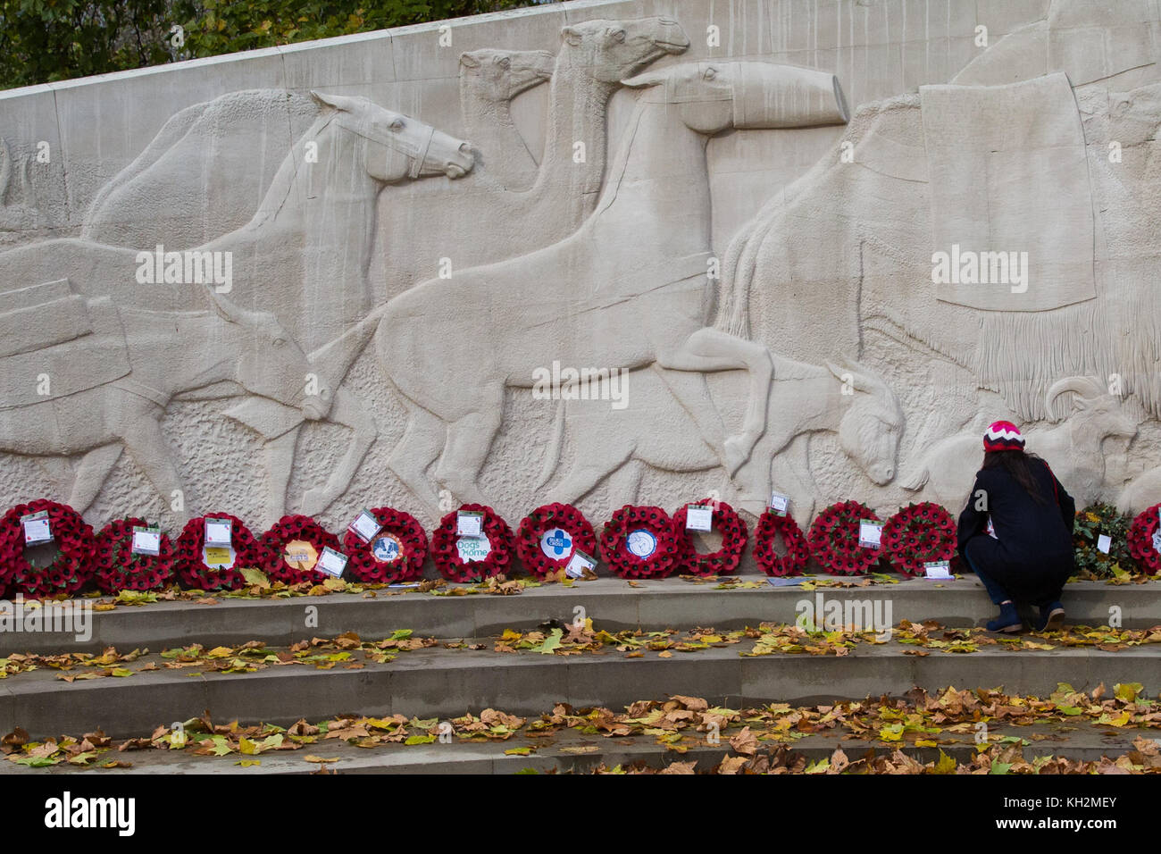 Animals in war memorial hyde park hi-res stock photography and images ...