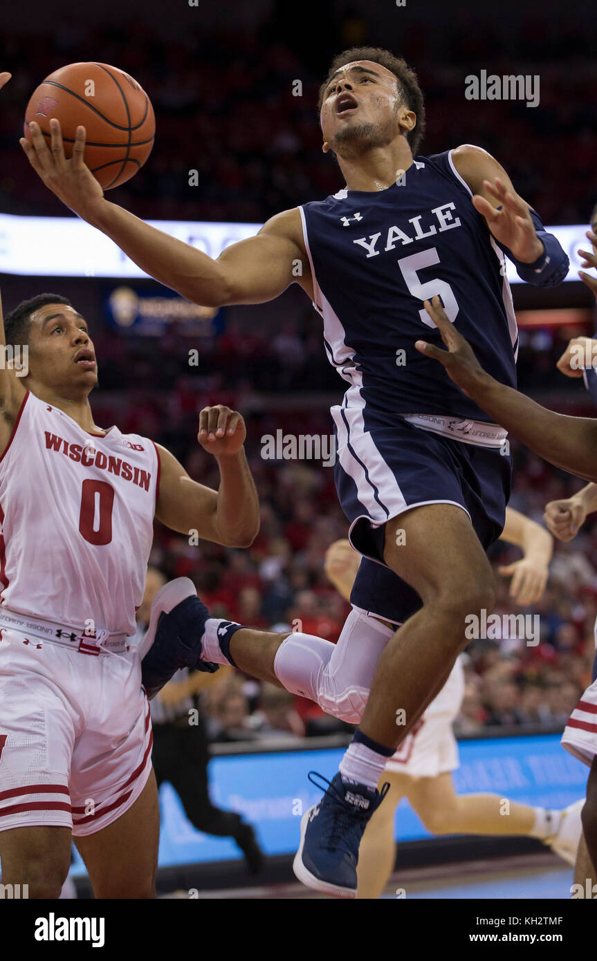Wisconsin badgers hi-res stock photography and images - Alamy