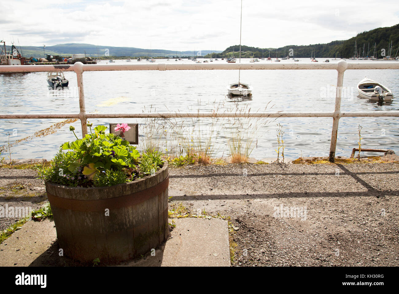 planter of wooden barrel with flowers of red geraniums put on the ...