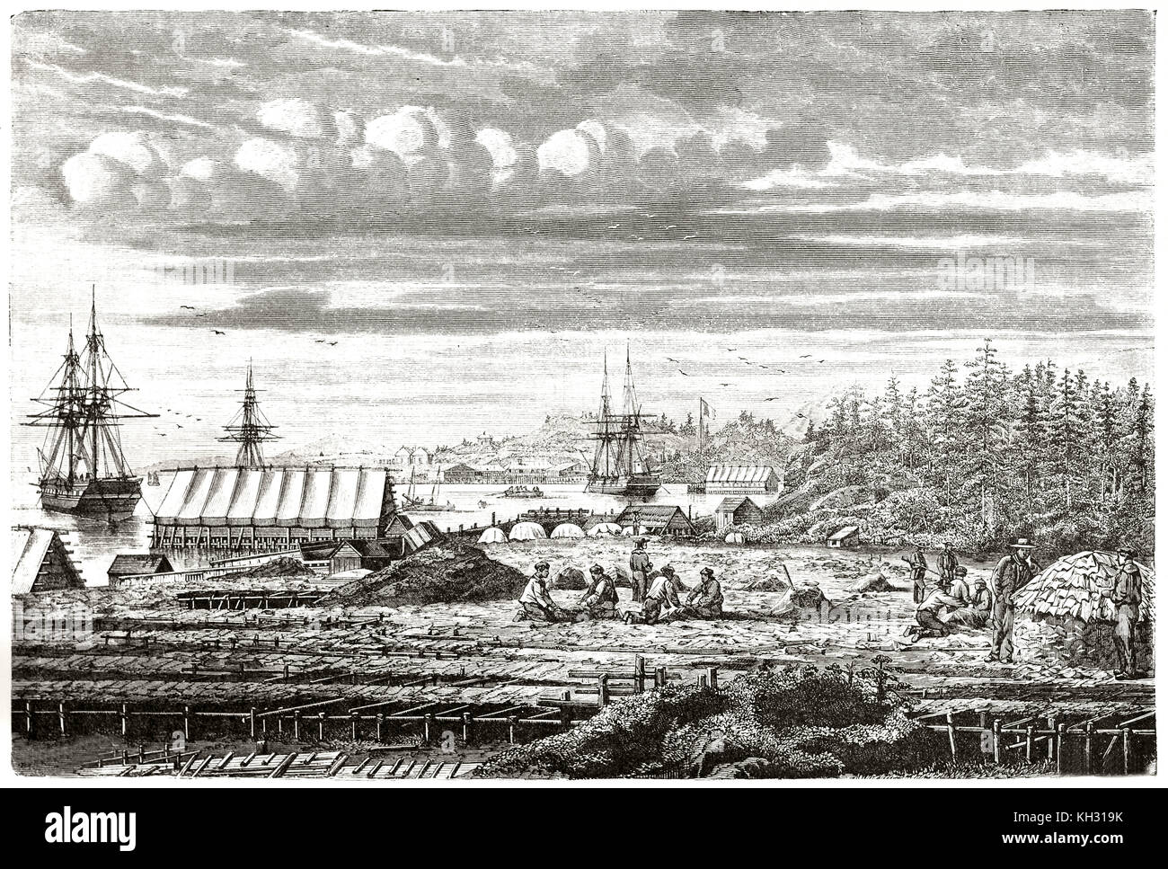 Cap cod fish hi-res stock photography and images - Alamy