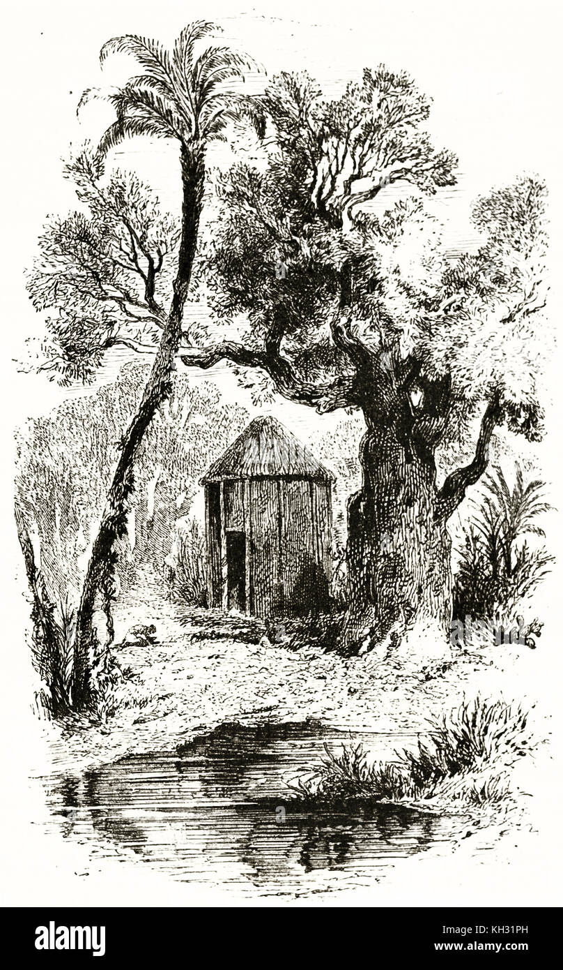 Old exterior view of the snakes temple in Whidah (Ouidah), Benin. By ...