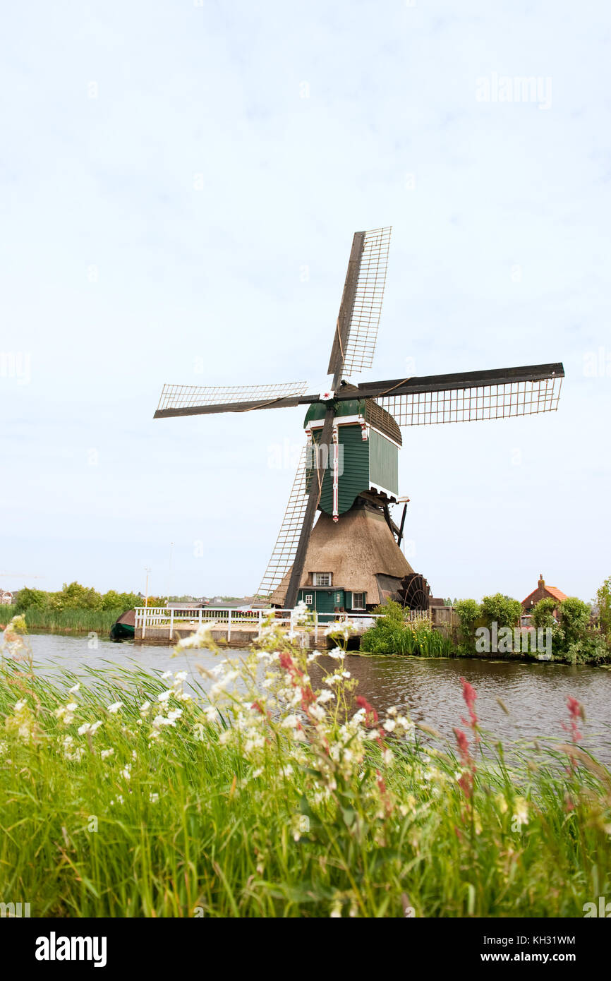 Dutch windmill in typical Hollands landscape near the river Stock Photo ...