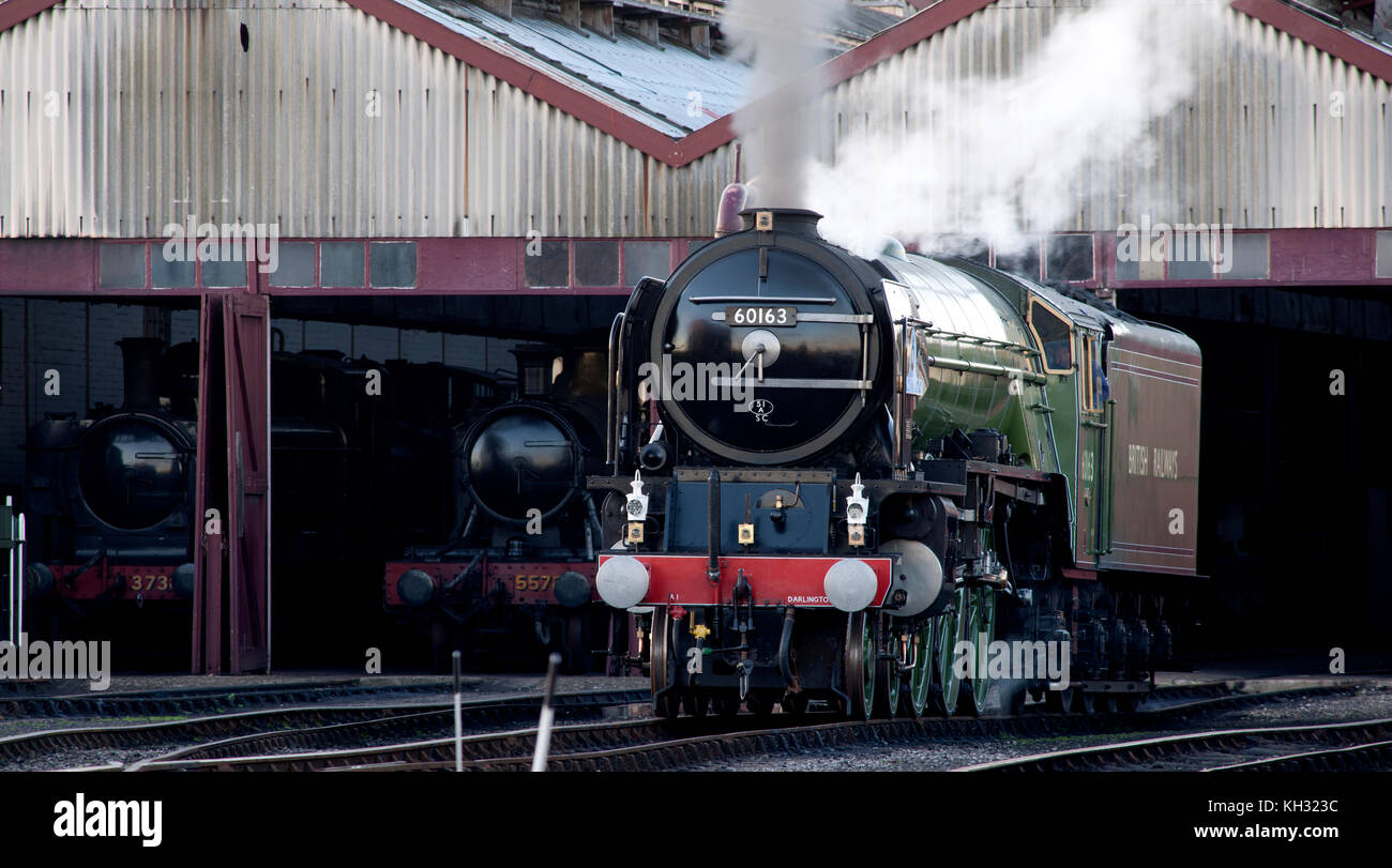 60163 Tornado a Peppercorn A1 Pacific Locomotive at Didcot Railway ...