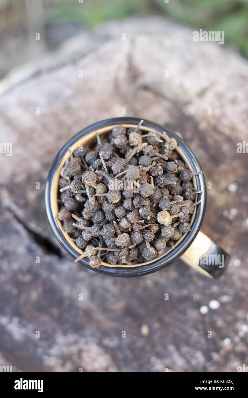 Tailed Pepper High Resolution Stock Photography and Images - Alamy