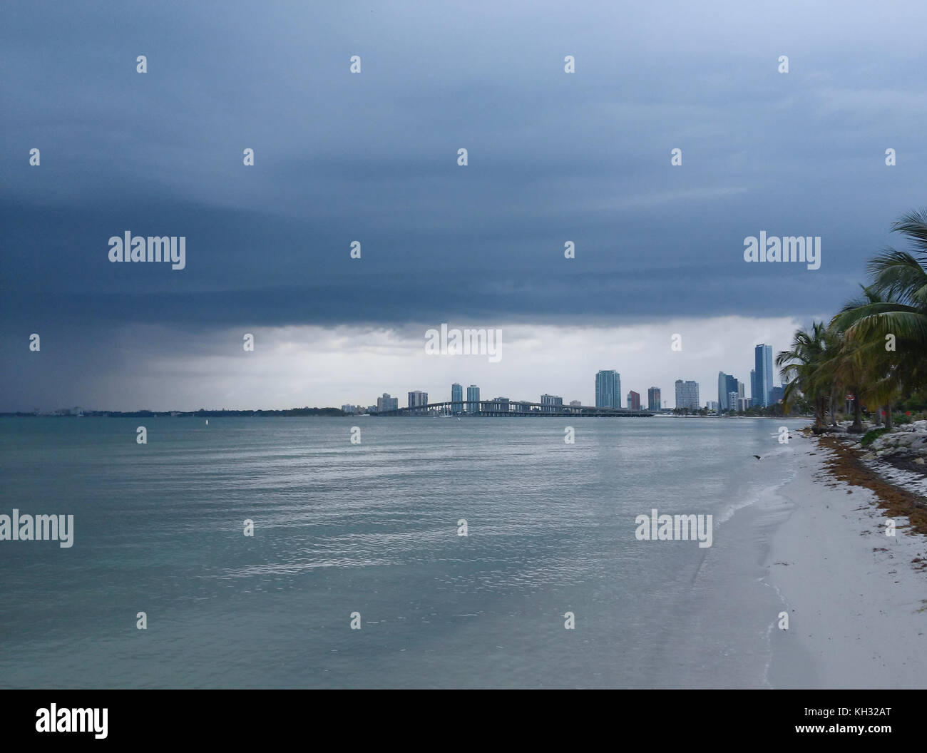 Miami landscape hi-res stock photography and images - Alamy