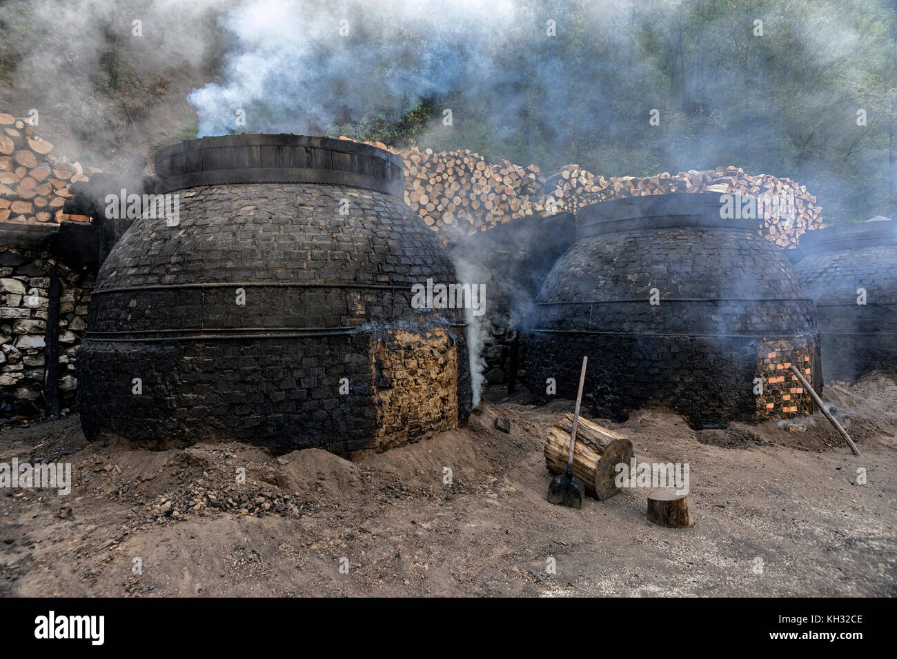 The production of charcoal in a traditional manner in the forest Stock ...