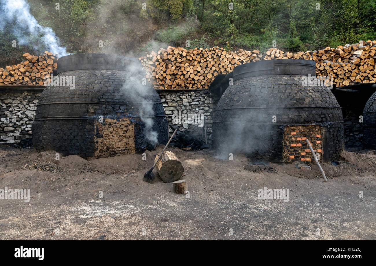 The production of charcoal in a traditional manner in the forest Stock ...