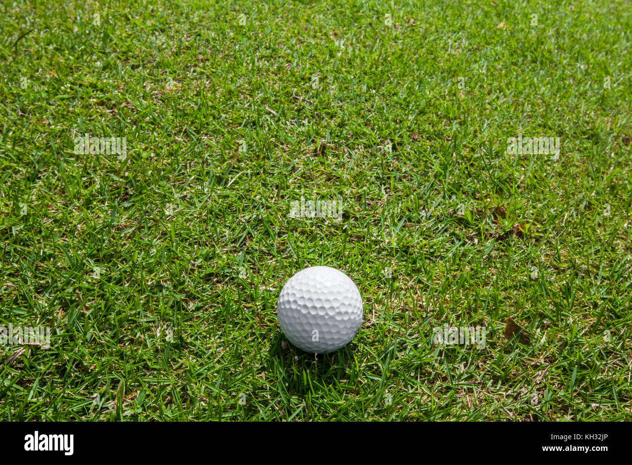 Close-up view of golf ball on the green grass of golf course with ...