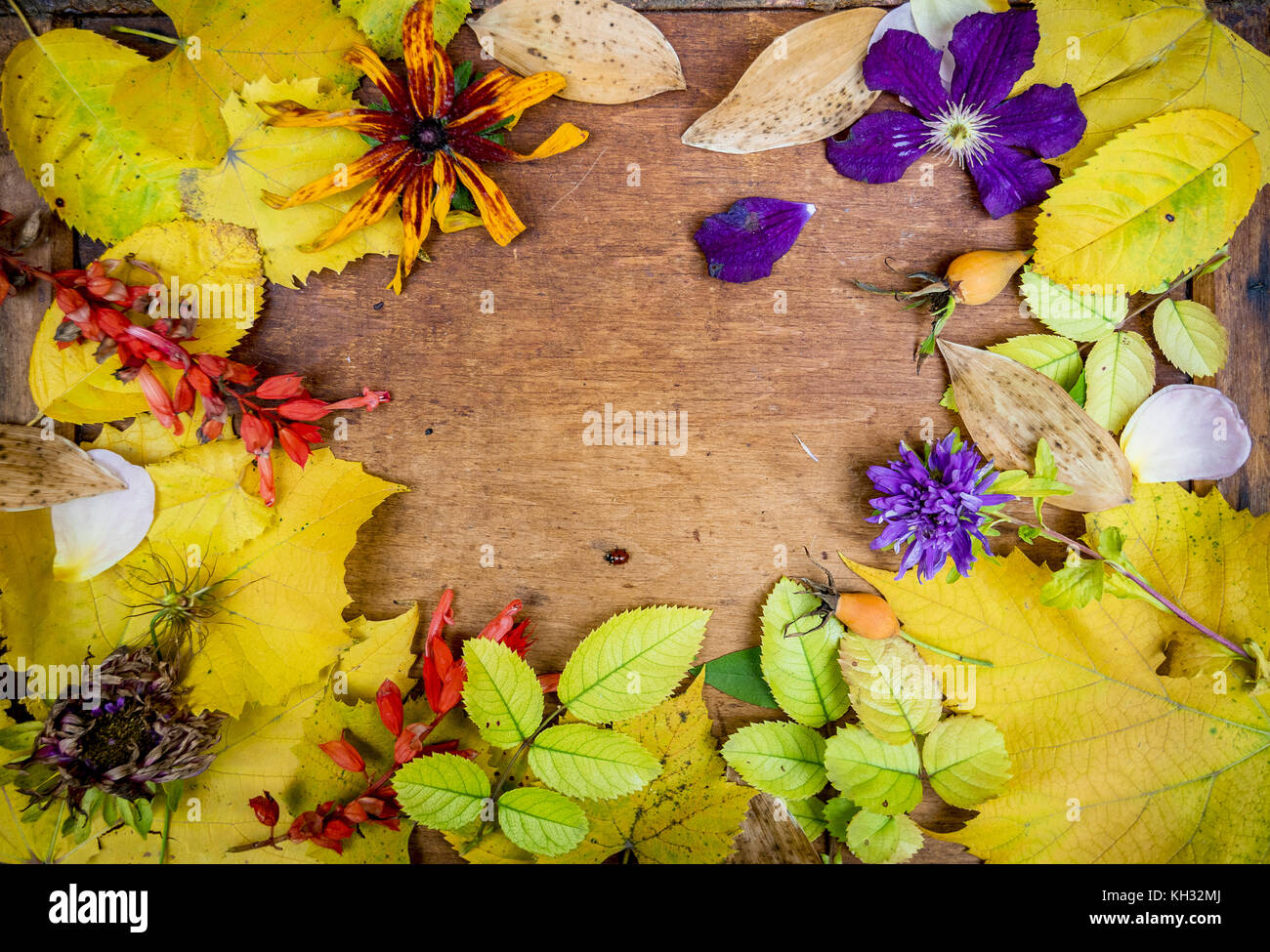 Garden flowers over wooden table background. Backdrop with copy space ...