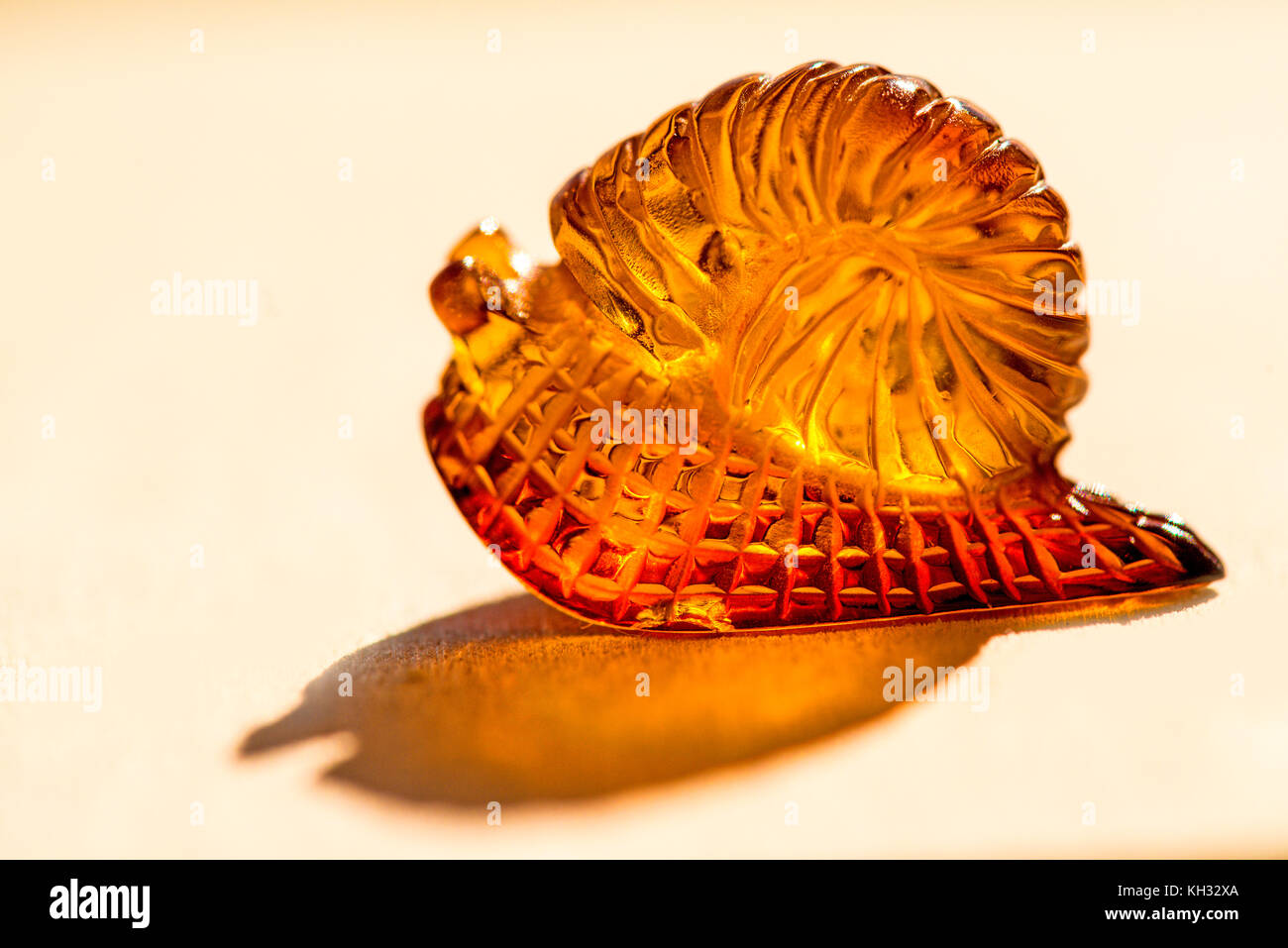 Amber snail in the sun, closeup Stock Photo - Alamy