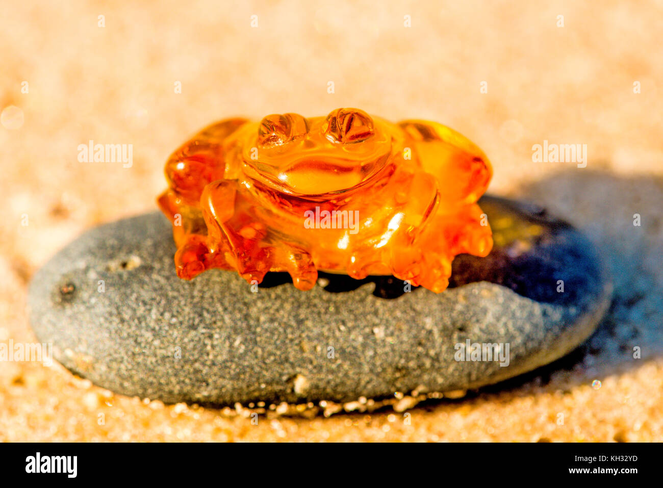 Amber frog on a beach of the Baltic Sea Stock Photo - Alamy