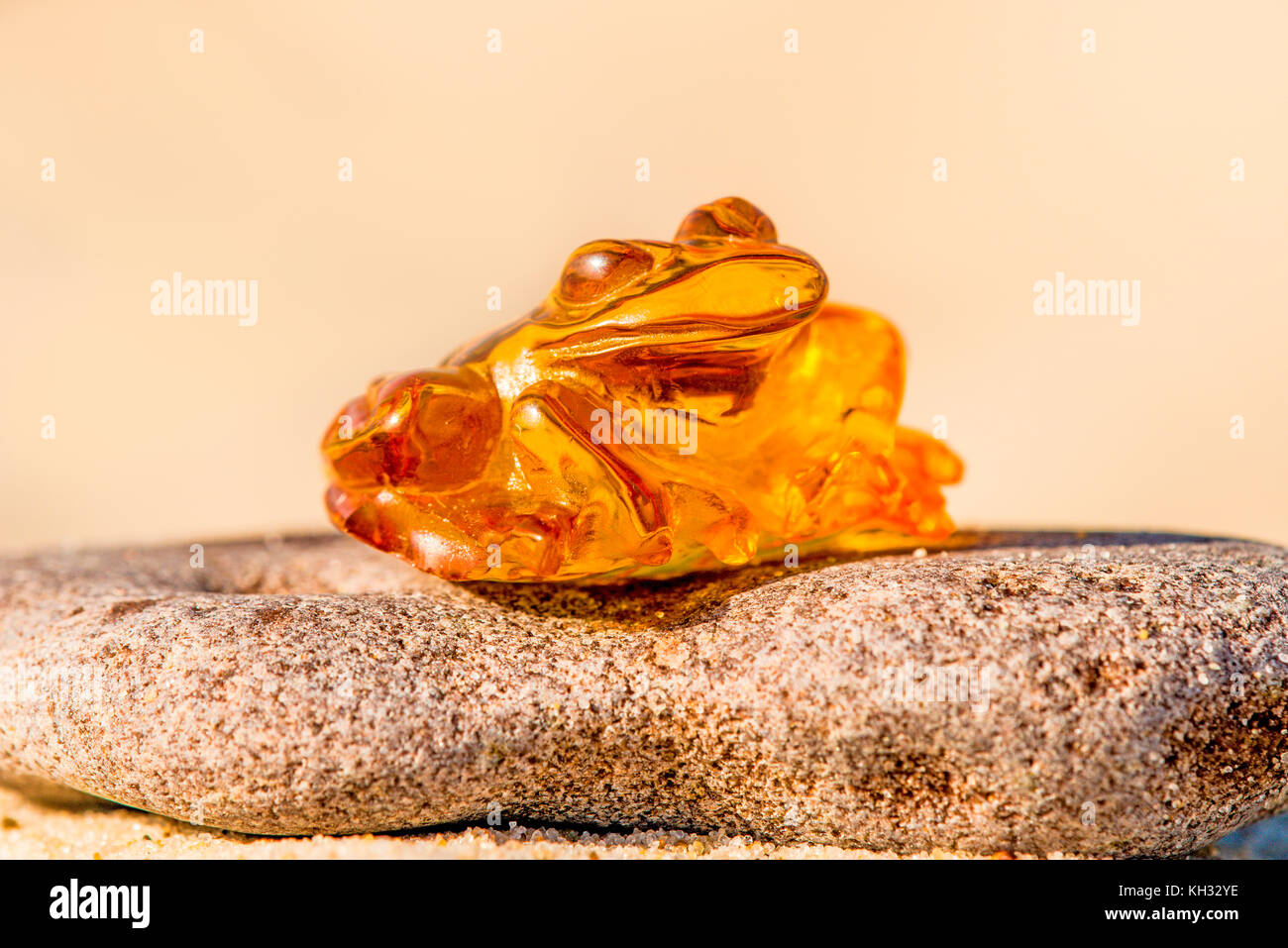 Amber frog on a beach of the Baltic Sea Stock Photo - Alamy