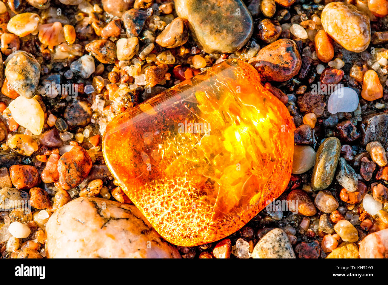 Amber on a beach of the Baltic Sea Stock Photo - Alamy