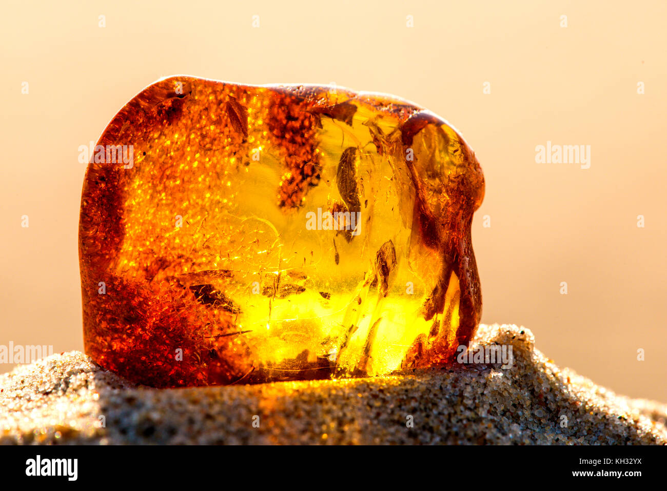 Amber on a beach of the Baltic Sea Stock Photo - Alamy