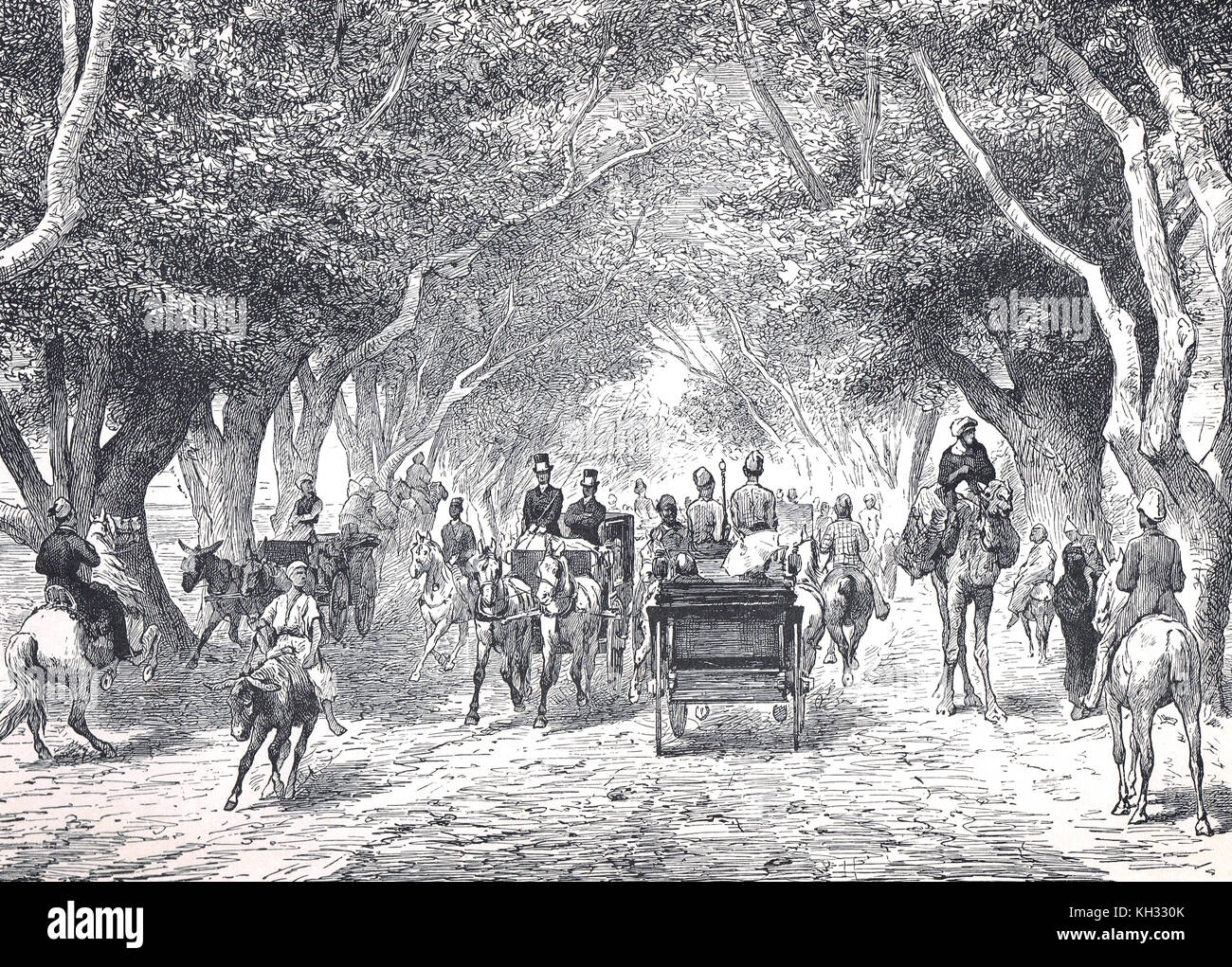 The avenue at shoubra hi-res stock photography and images - Alamy