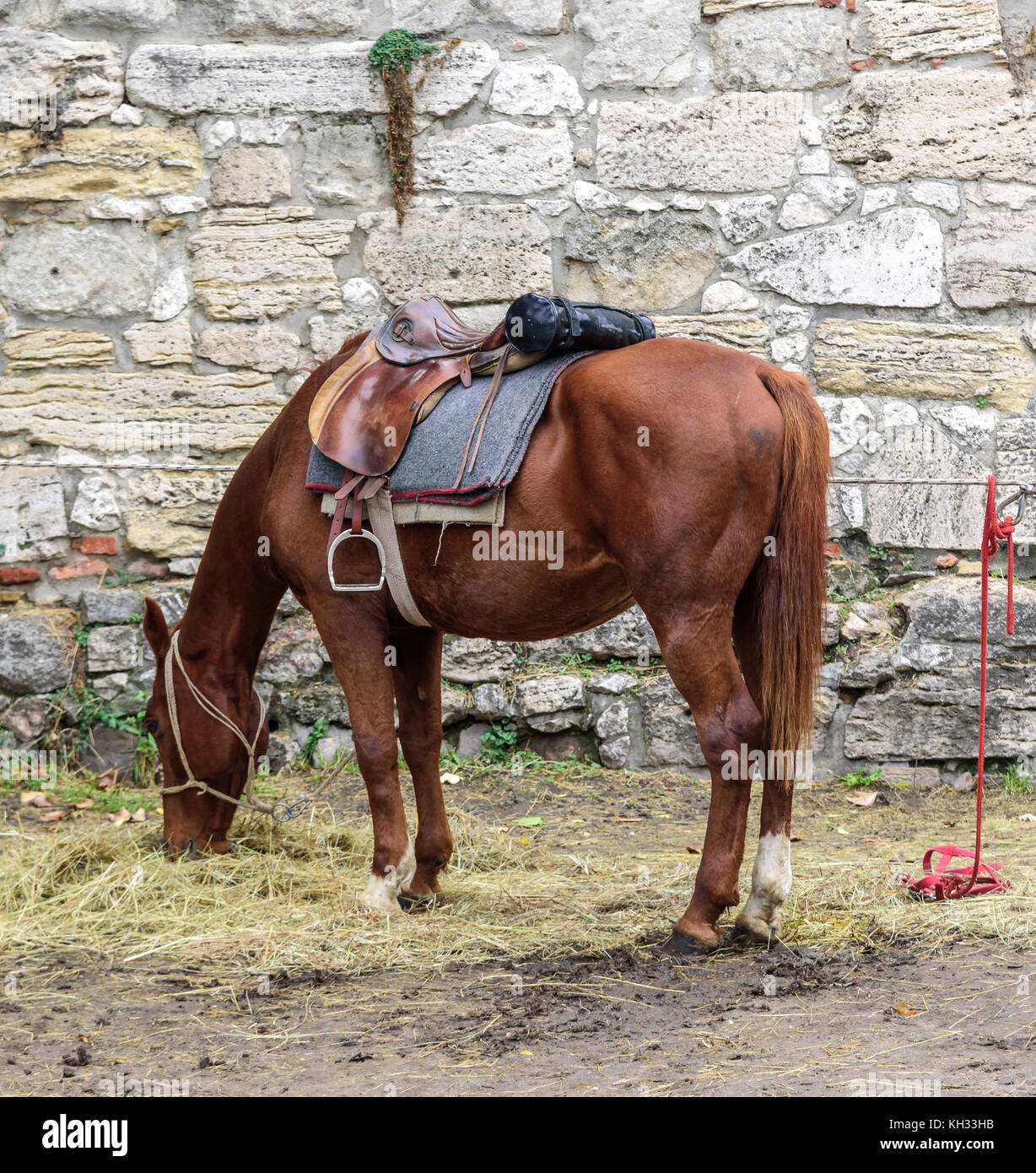 Saddle and horse barn hi-res stock photography and images - Alamy