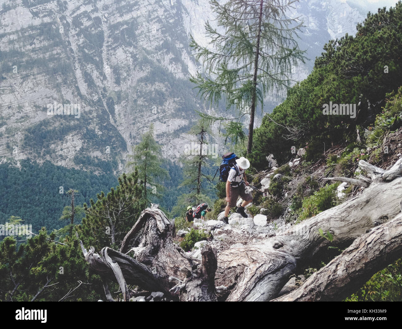 Hikers on a steep way up the mountain Stock Photo - Alamy