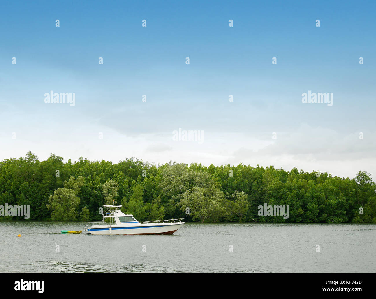 One speed boat with scenic forest background Stock Photo - Alamy