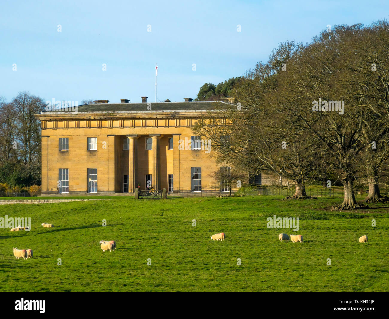 Belsay Hall Northumberland front elevation across a field of sheep in ...