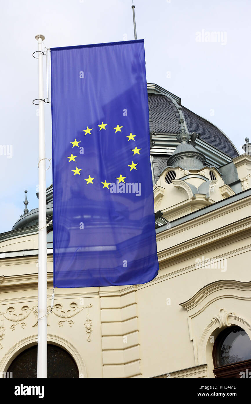 vertical flag of the European Union against the backdrop of a beautiful ...