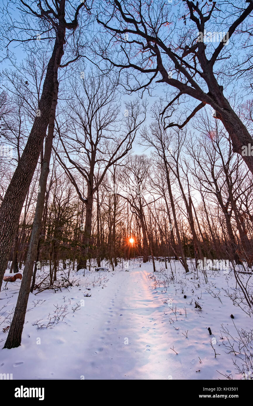 Hiking towards sun on snowy hi-res stock photography and images - Alamy