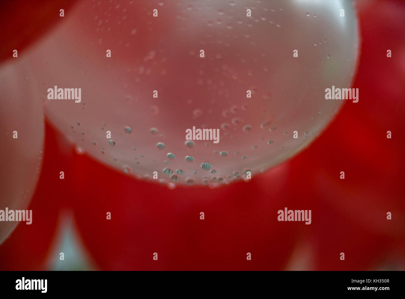 White and red balloons with rain drops Stock Photo - Alamy