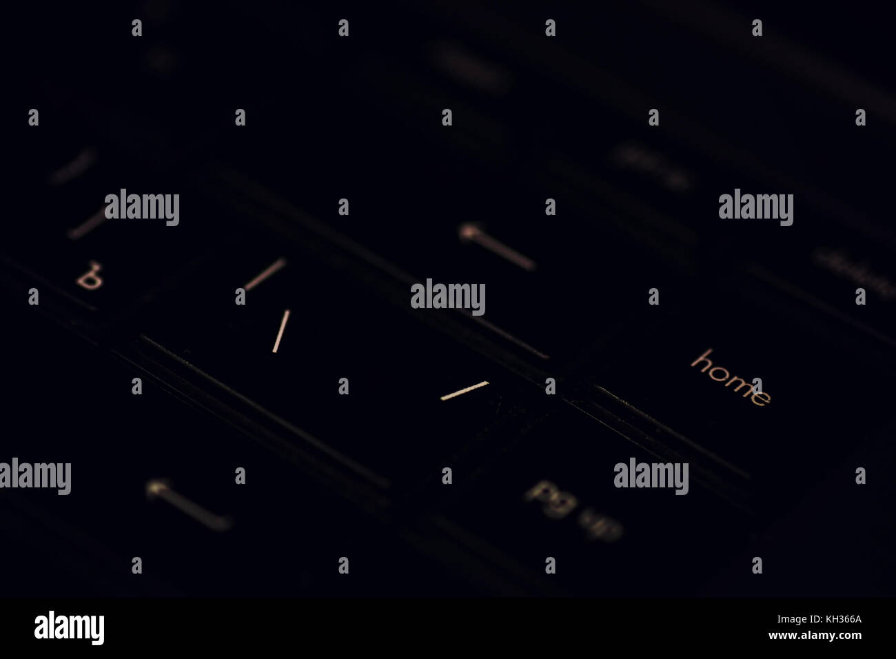 Macro Photography Keyboard