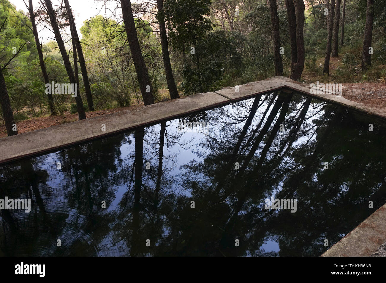 Water bassin in forest, Fuente Jarapalos, in mountains of Mijas ...