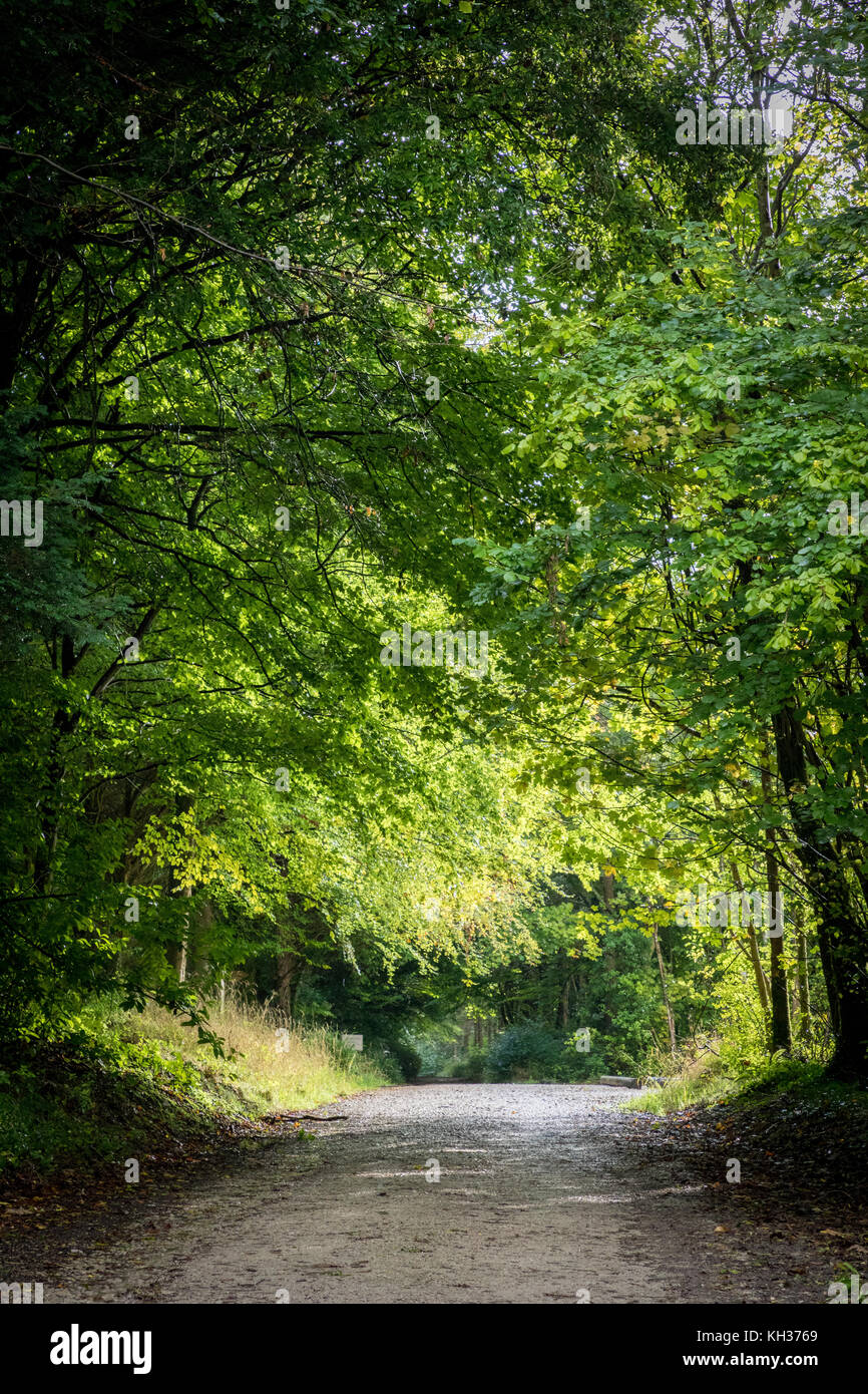 Sun Dappled Water Stock Photos & Sun Dappled Water Stock Images - Alamy