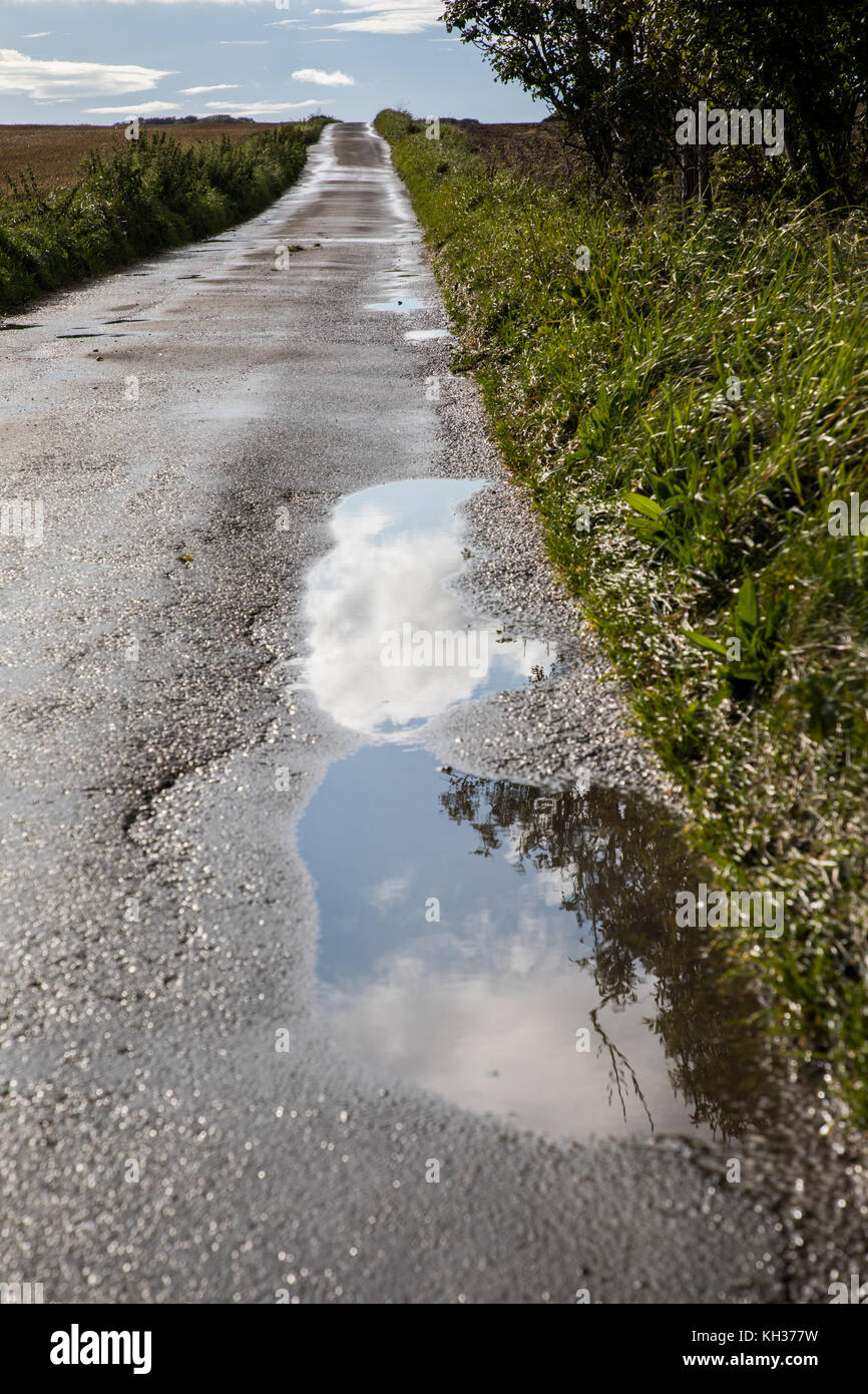 puddle reflection in road Stock Photo - Alamy