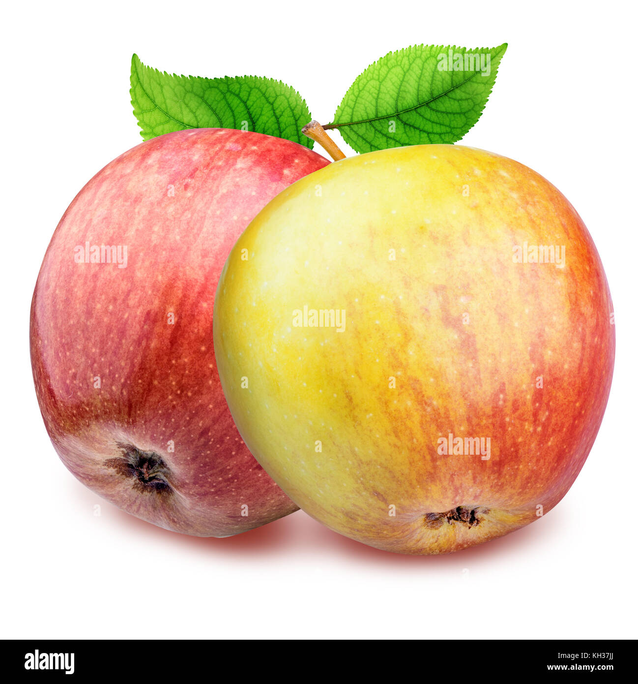 Group of red apples isolated on white background with clipping path ...